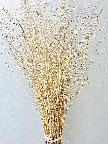 Decorative Coloured Birch Twigs And Branches - Gold With Gold Glitter ...