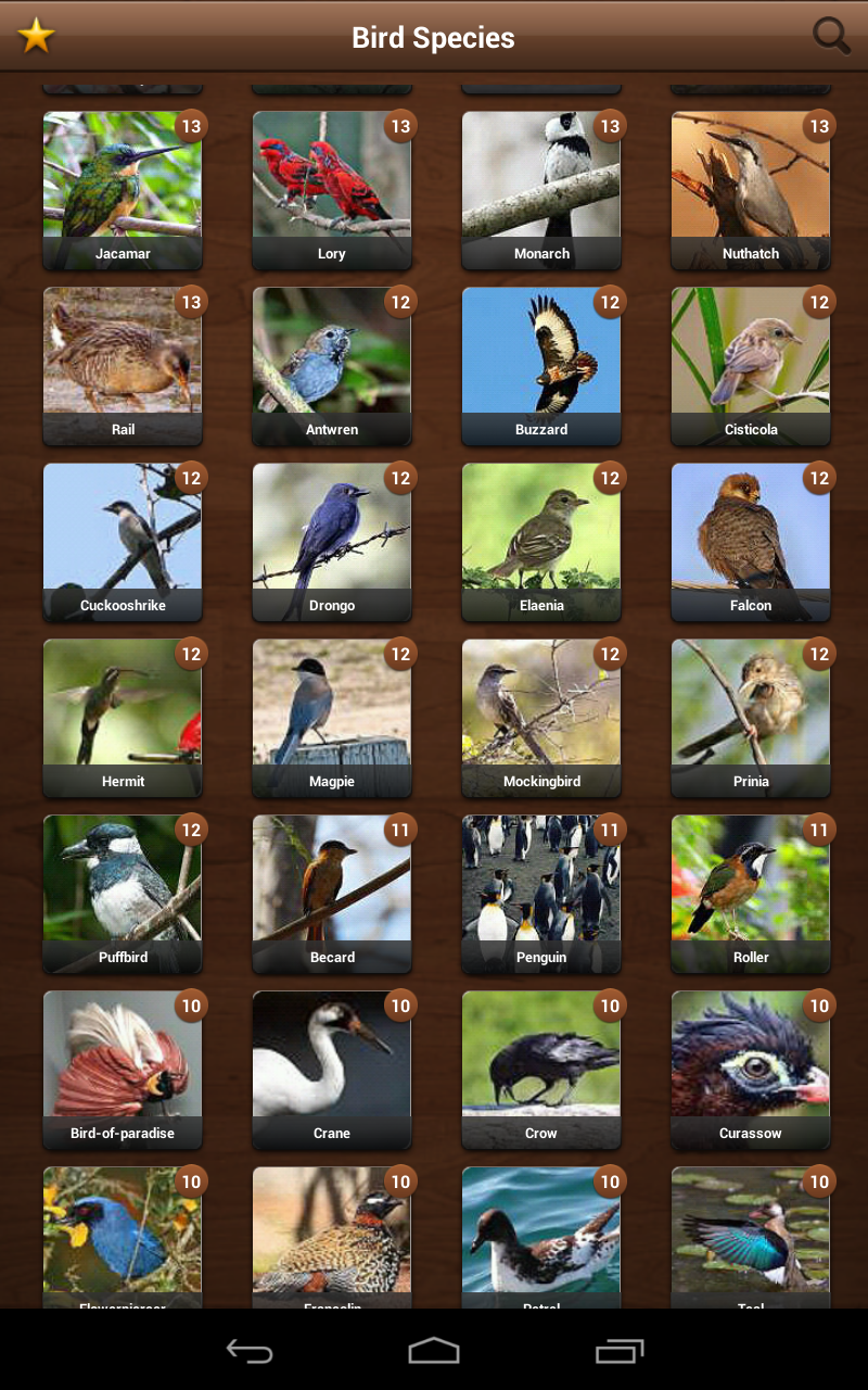 Bird Calls - Bird Guide with 2000+ Bird Songs & Sounds (Mobile, Tablets ...