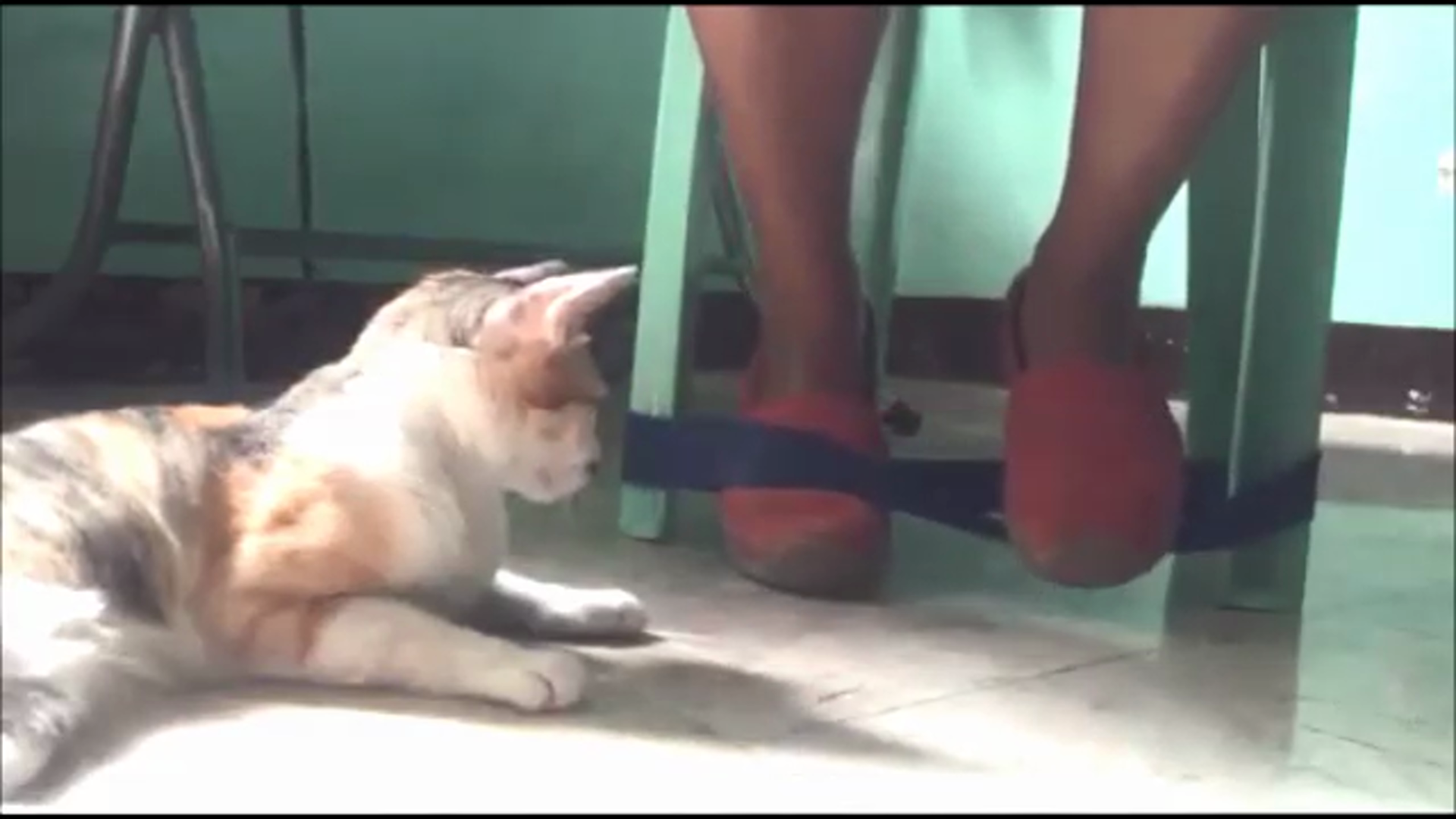 Watch Strong bands on Amazon Live