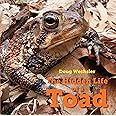 The Hidden Life of a Toad: Wechsler, Doug, Wechsler, Doug ...
