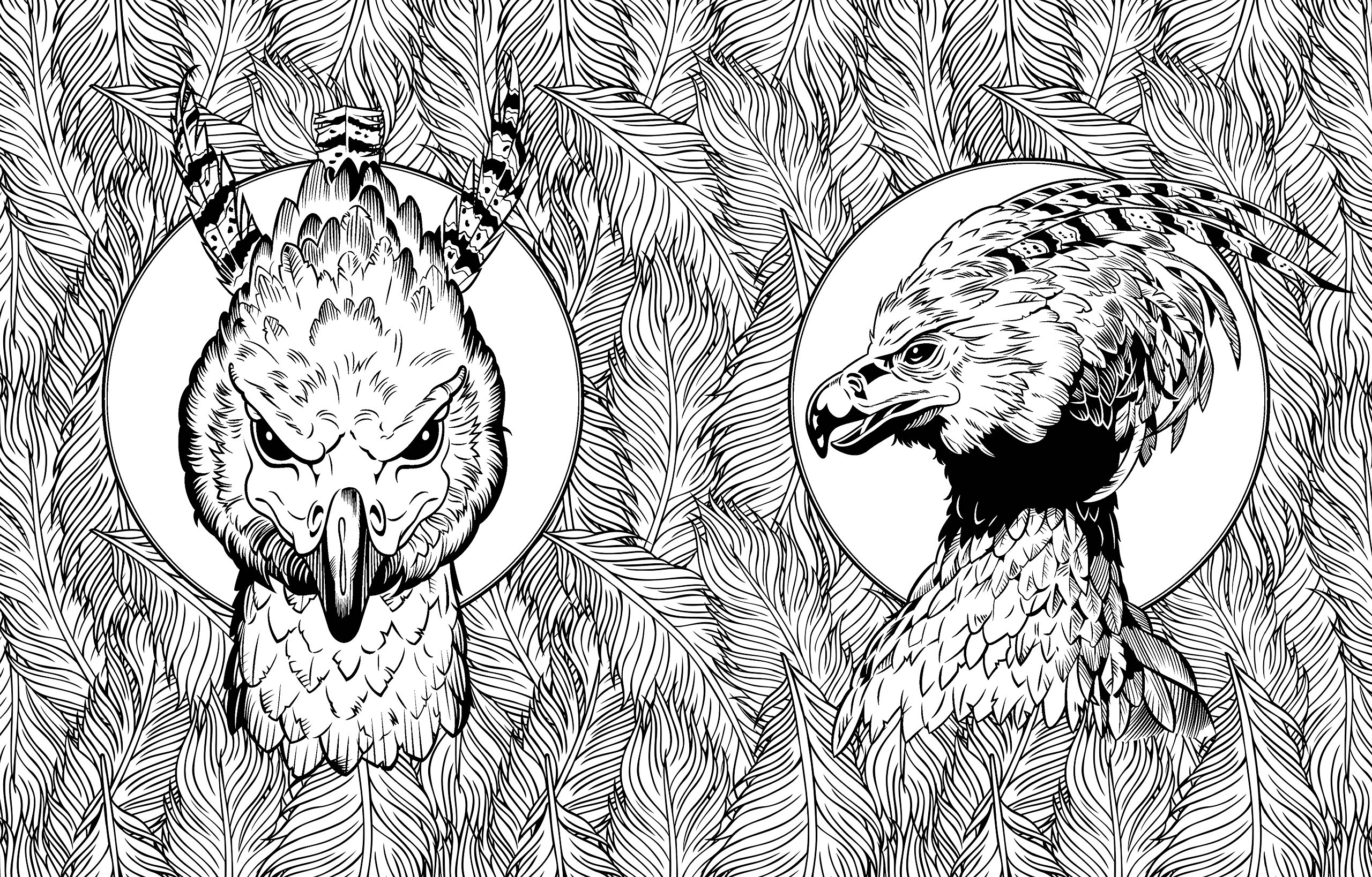 Harry Potter Magical Creatures Coloring Pages Harry Potter Magical 