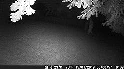 Amazon.com: usogood Trail Camera 14MP 1080P No Glow Game Hunting Camera ...