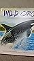 Wild Orca: The Oldest, Wisest Whale in the World: Peterson, Brenda ...