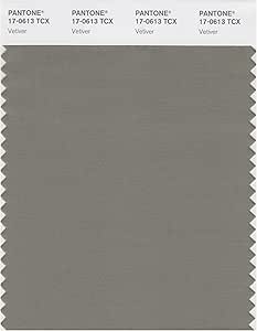 PANTONE Smart 17-0613X Color Swatch Card, Vetiver - House Paint ...