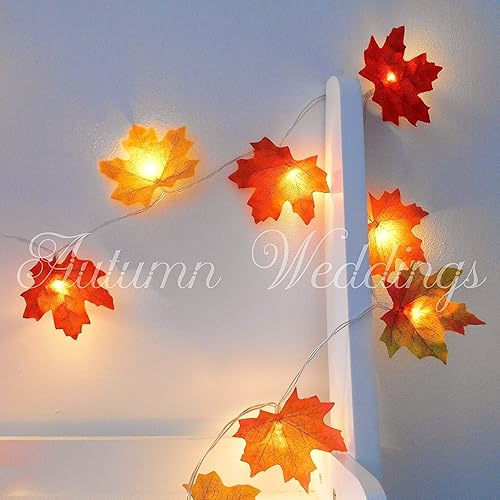 1m 10 LED Mixed Autumn Leaves Fairy Lights - String Lights/Lit Garland ...