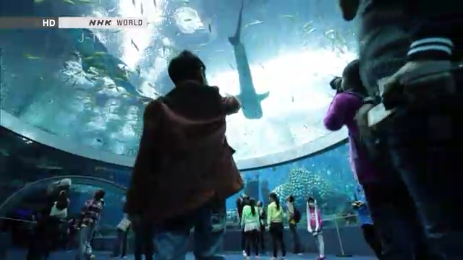 Japan TV:Amazon.com:Appstore for Android