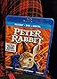 Amazon.com: Peter Rabbit [DVD] : Rose Byrne, Domhnall Gleeson, Sam ...
