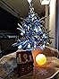 Amazon.com: Small Christmas Tree 24 inch Mini Christmas Tree Rustic ...