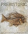 Prehistoric: Amazon.co.uk: DK: 9781405337045: Books