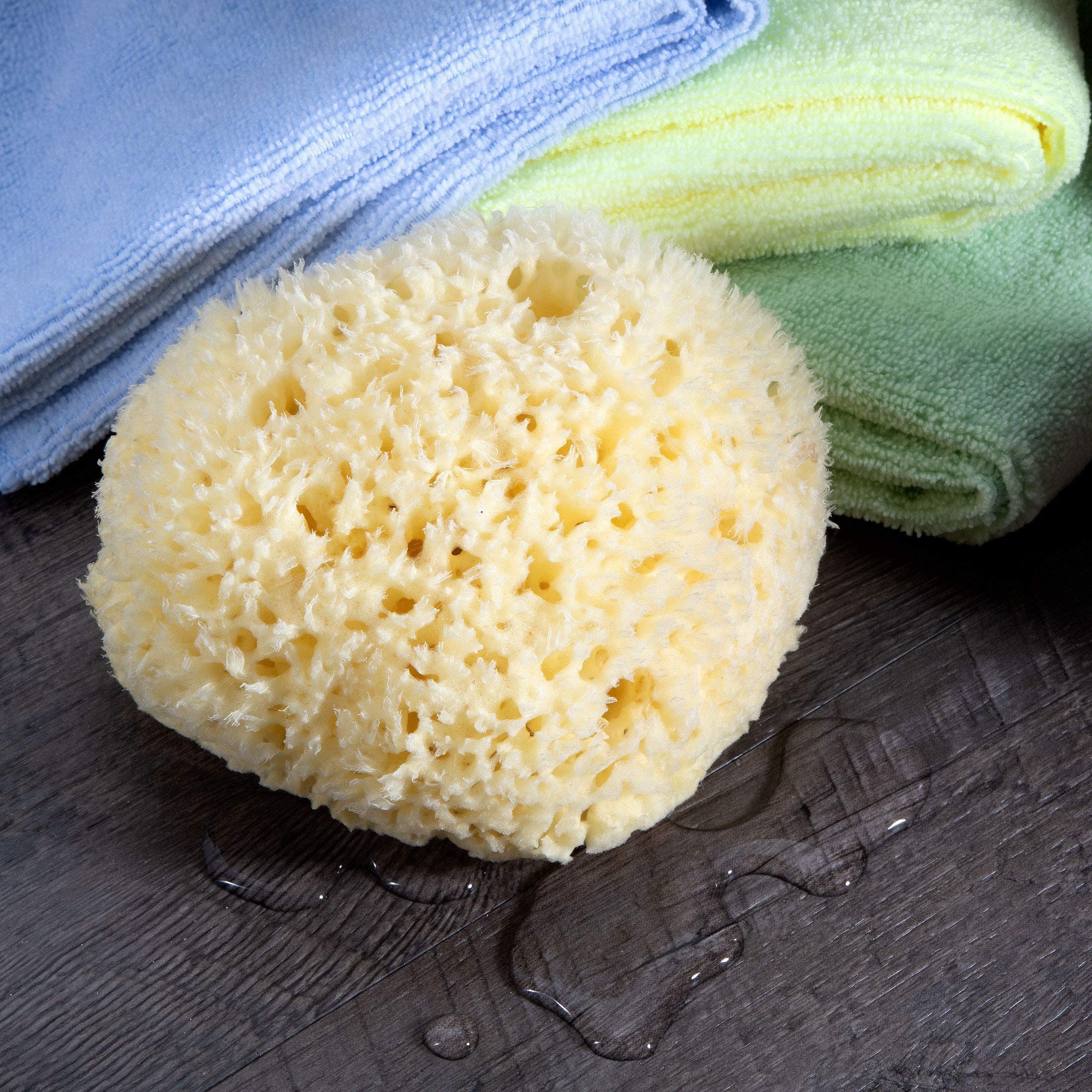 Mua Sea Wool Sponge - All Natural Honeycomb Renewable Sea Sponge, Jumbo ...