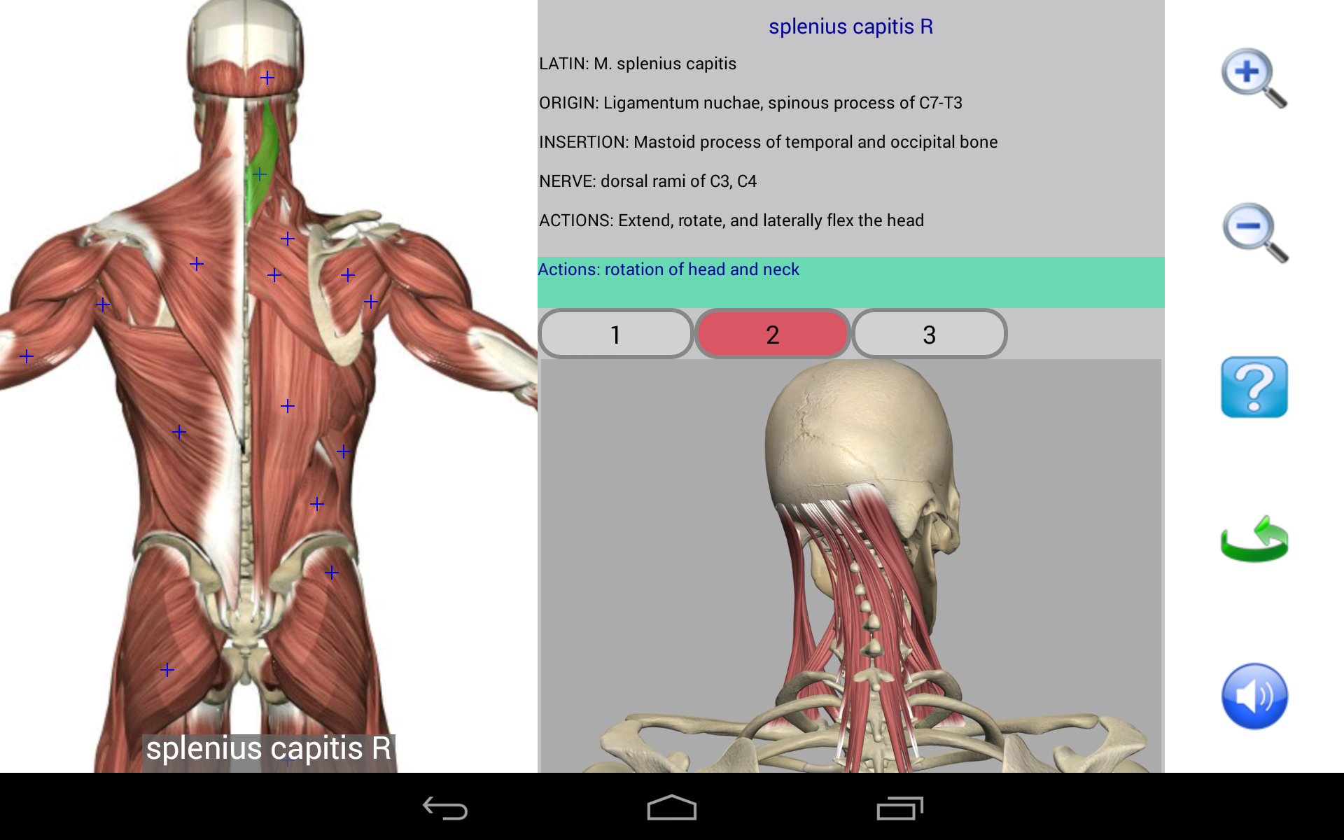 Visual Anatomy Free:Amazon.com:Appstore for Android