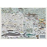 Fresh Water Game Fish of North America Laminated Educational Reference ...