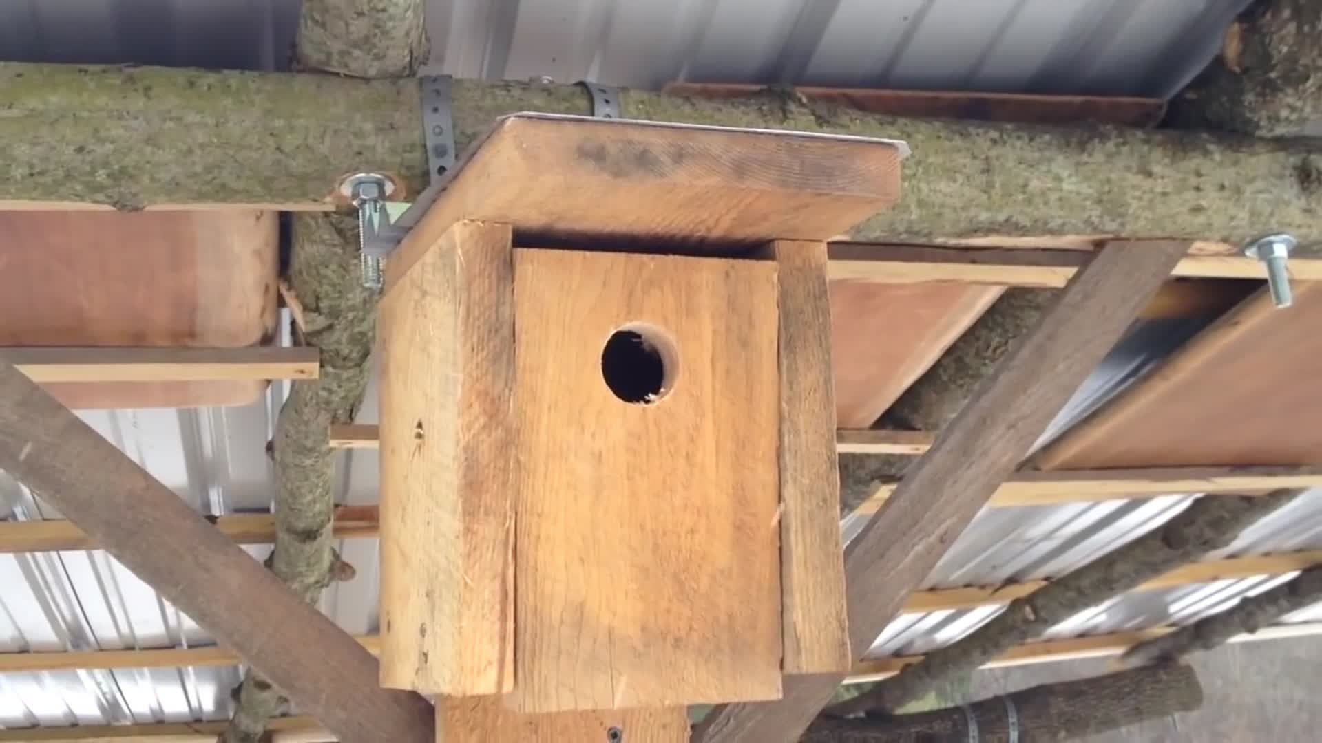 Edible Acres Permaculture:Amazon.in:Appstore for Android