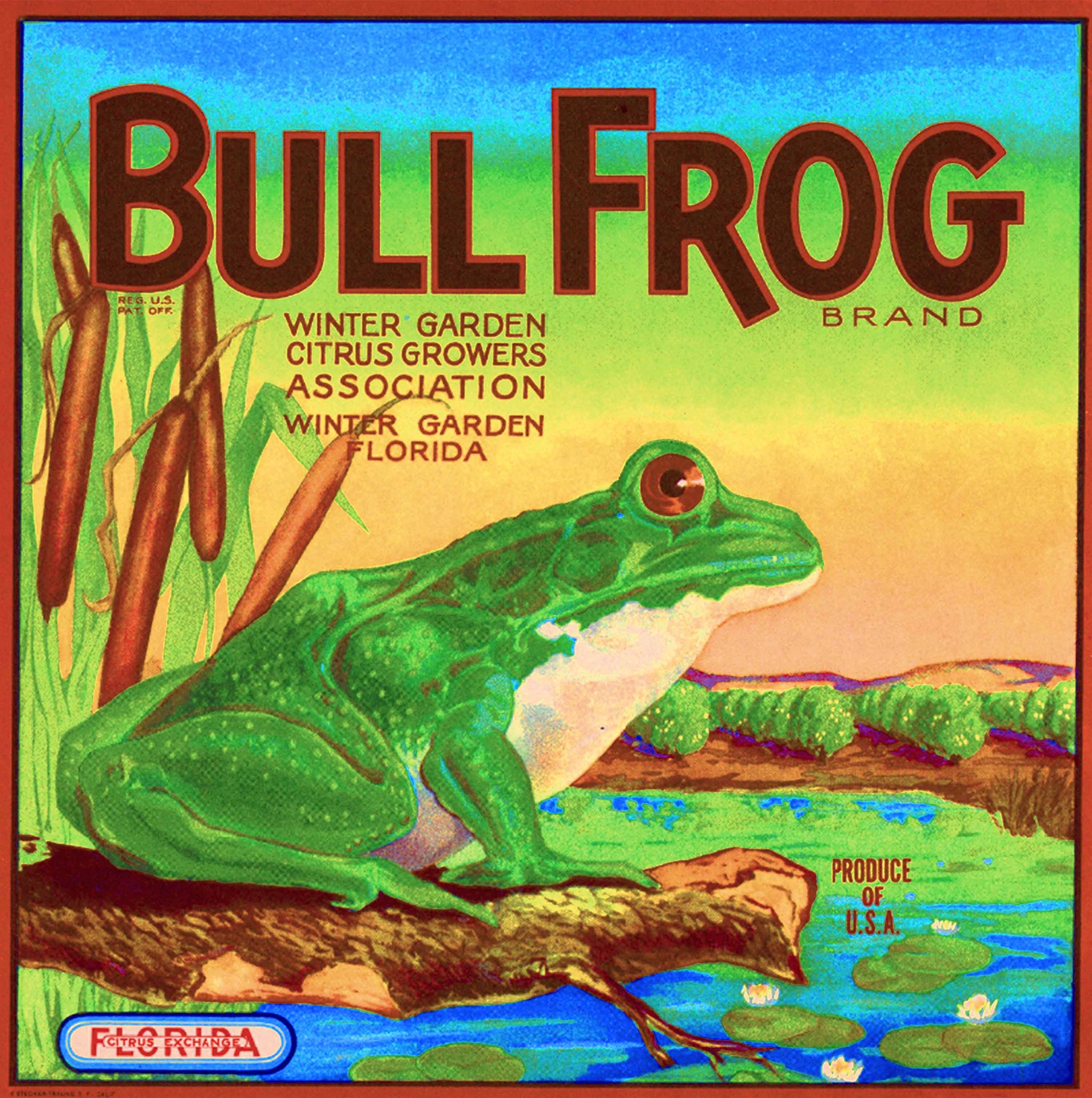 Buy A SLICE IN TIME Winter Garden, Florida - Vintage Bull Frog Brand ...