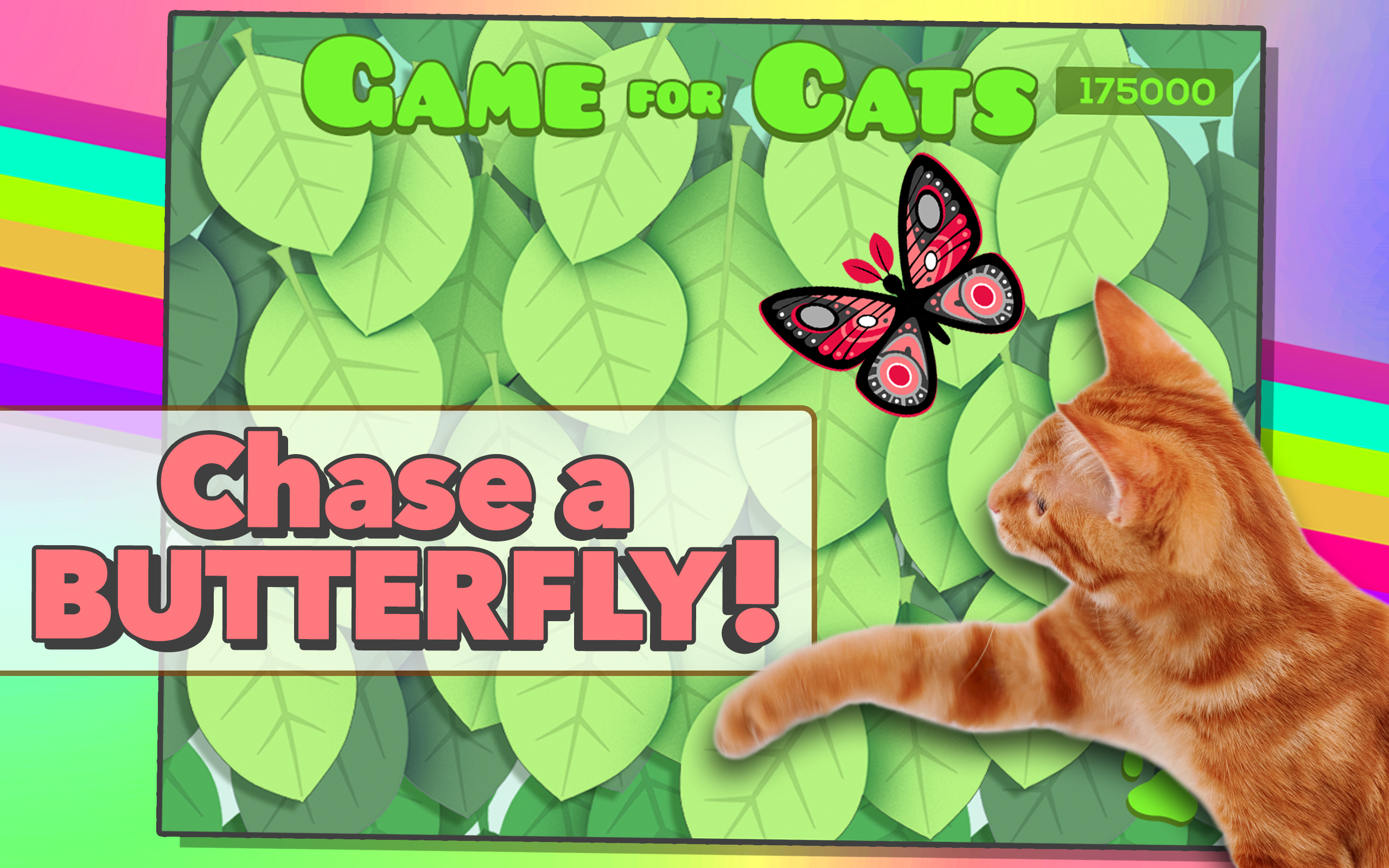 Game for Cats:Amazon.de:Appstore for Android