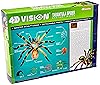 4D: Tarantula Spider Anatomy Model in Kuwait | Whizz Science