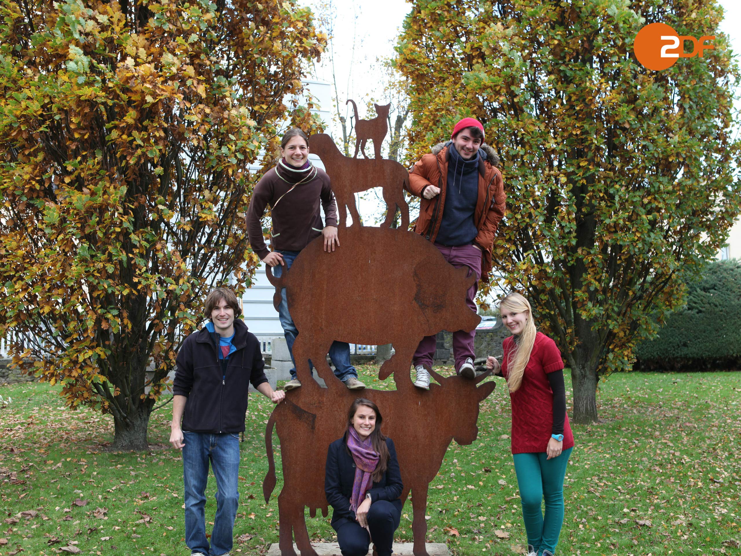 Amazon.de: Die Tierdocs, Staffel 1 ansehen | Prime Video