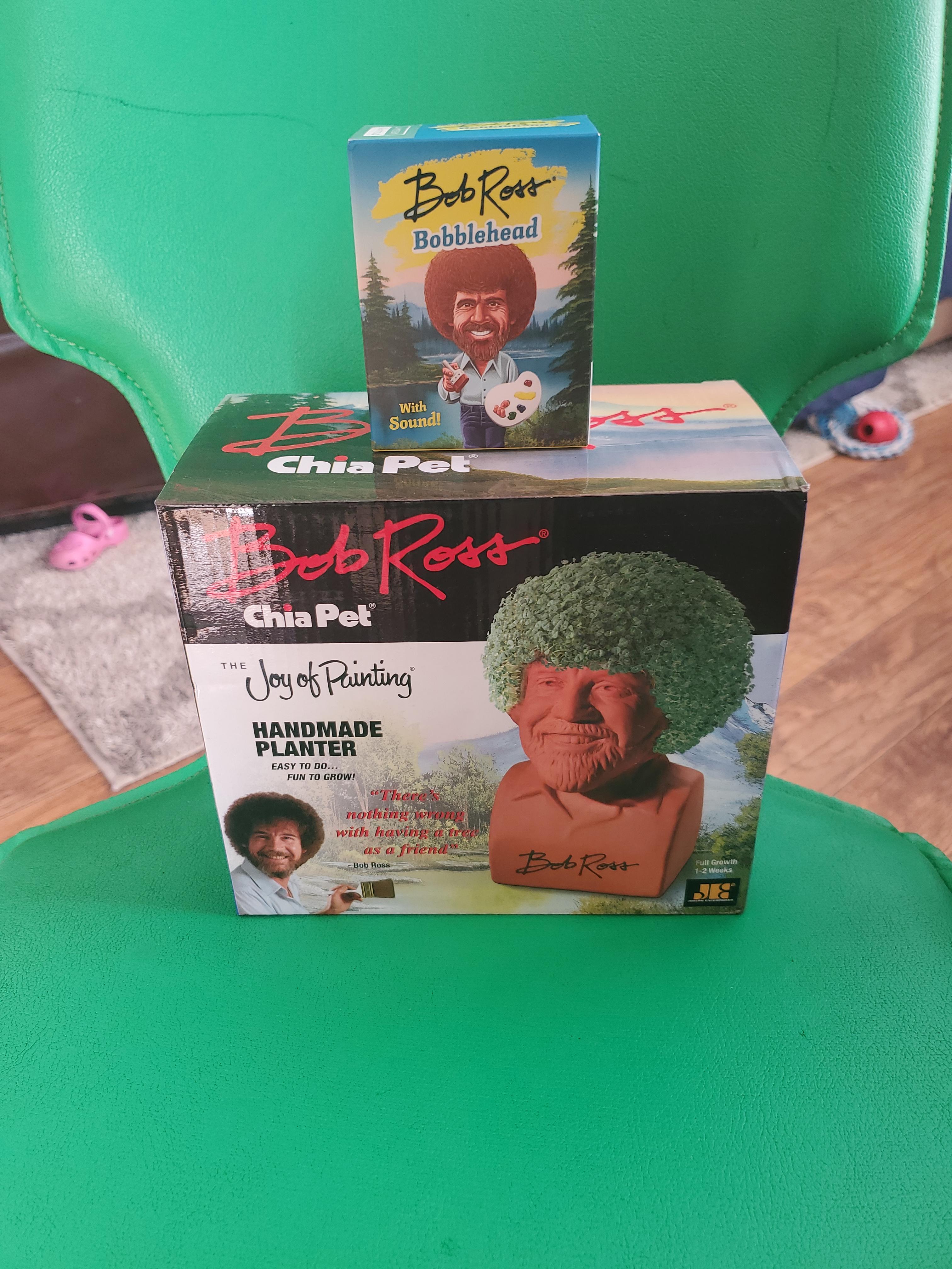 $6/mo - Finance Chia Pet Bob Ross with Seed Pack, Decorative Pottery ...