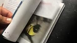 LOLcat Bible: In teh beginnin Ceiling Cat maded teh skiez an da Erfs n ...