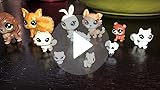 Amazon.com: Littlest Pet Shop The Sweet Sort: Toys & Games