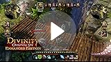 Amazon.com: Divinity: Original Sin - Enhanced Edition - PlayStation 4 ...