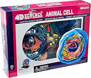 Amazon.com: Famemaster 4D-Science Animal Cell Anatomy Model Coral ...