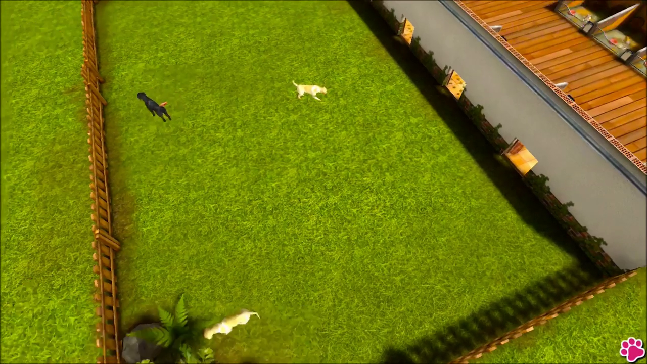 PetWorld: My Animal Rescue - App on Amazon Appstore