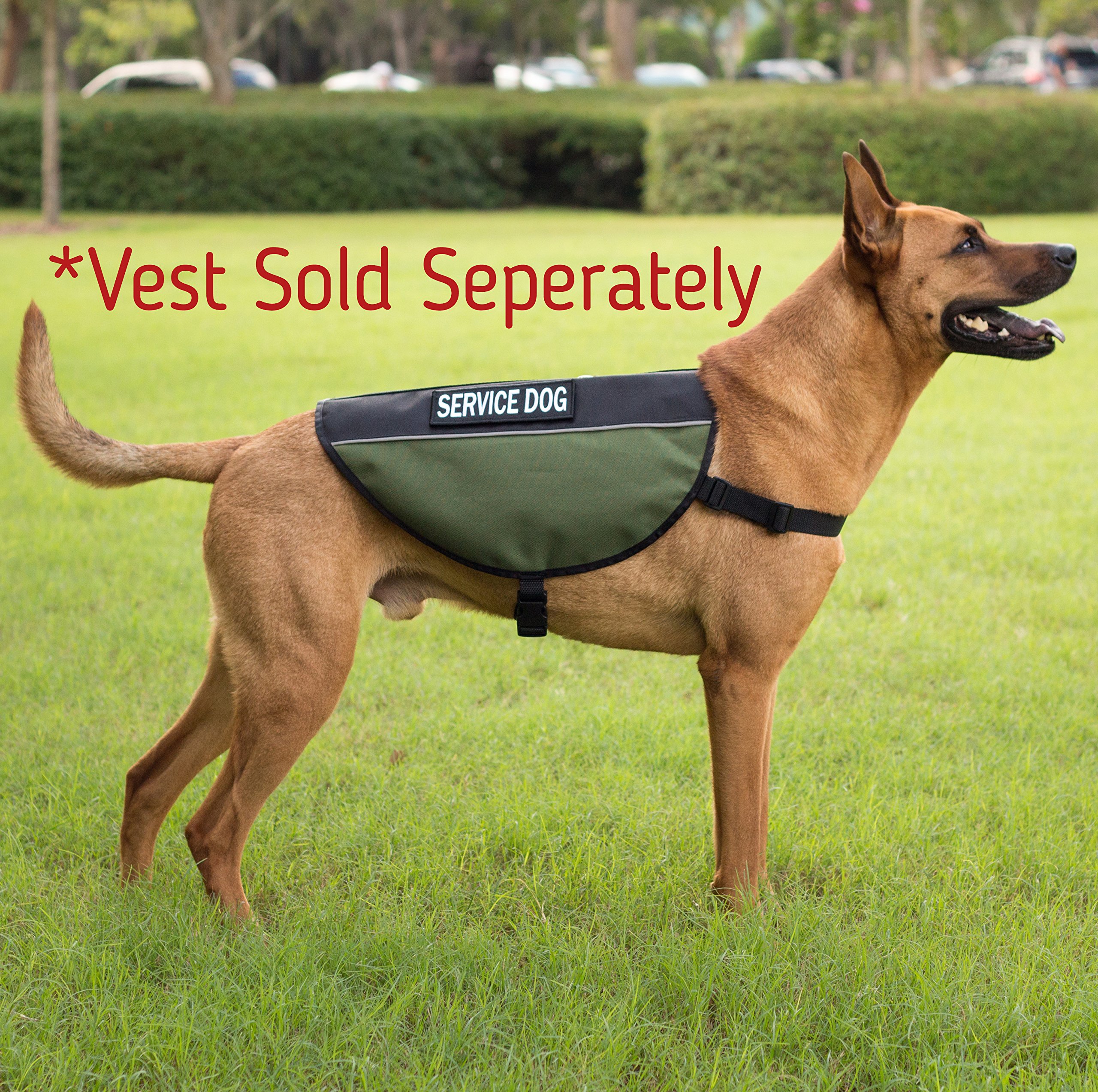 service-dog-vest-template