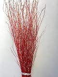 Decorative Coloured Birch Twigs and branches - White - 90cm's - 25 ...