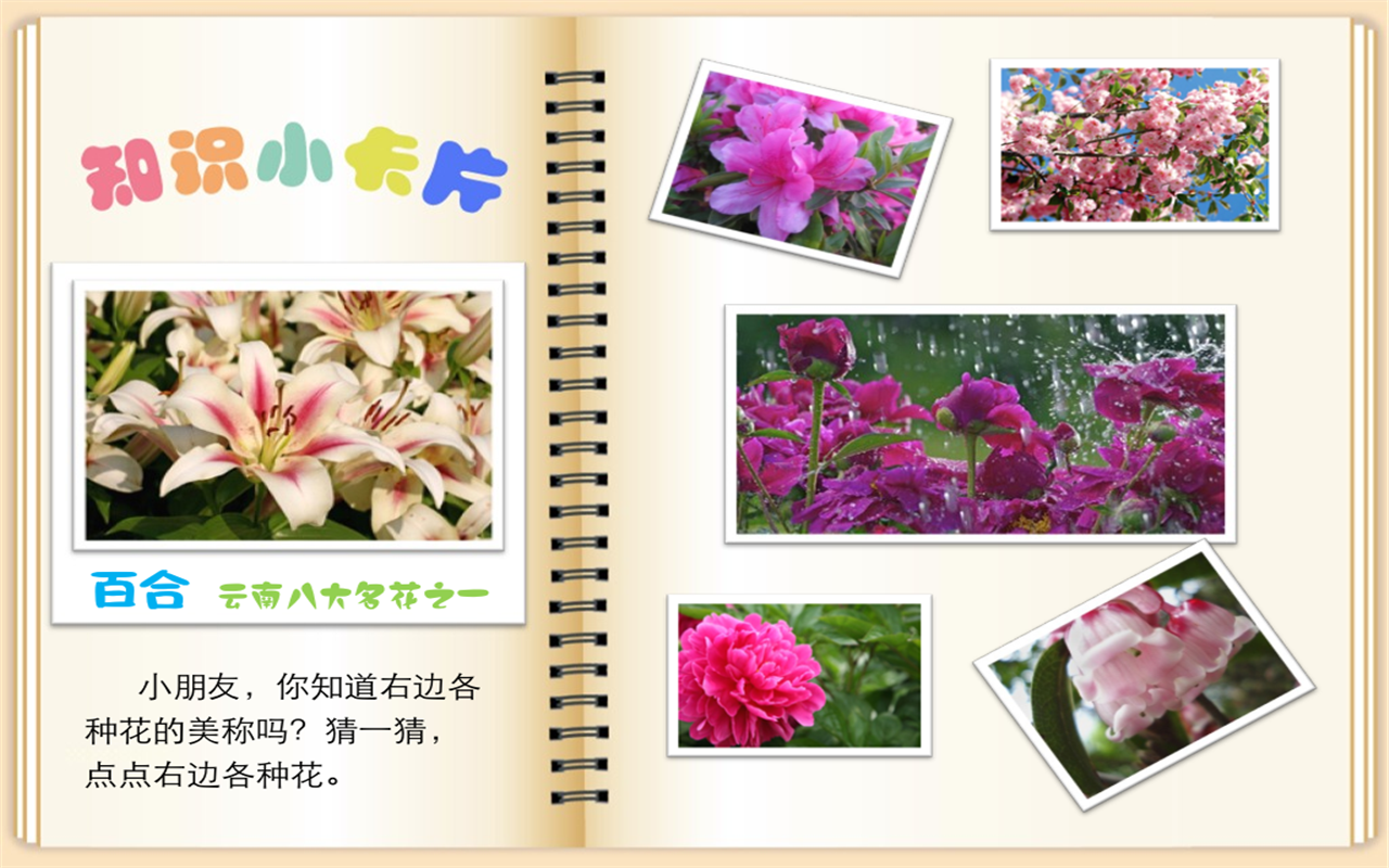 Rainbow Flower--- a story teaches children to share with others:Amazon ...