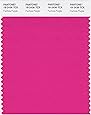 PANTONE SMART 18-2436X Color Swatch Card, Fuchsia Purple - House Paint ...