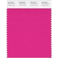 PANTONE Smart 18-2436X Color Swatch Card, Fuchsia Purple - House Paint ...
