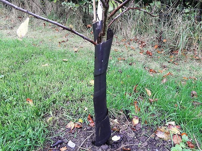 10 Rabbit,Tree Guards,Shelters,Spirals,Protectors,Hedge 3fatpigs ...