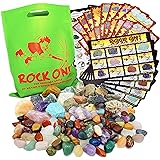 FOSSIL ON! Game with Fossil, Rock & Mineral Collection – Trilobite ...