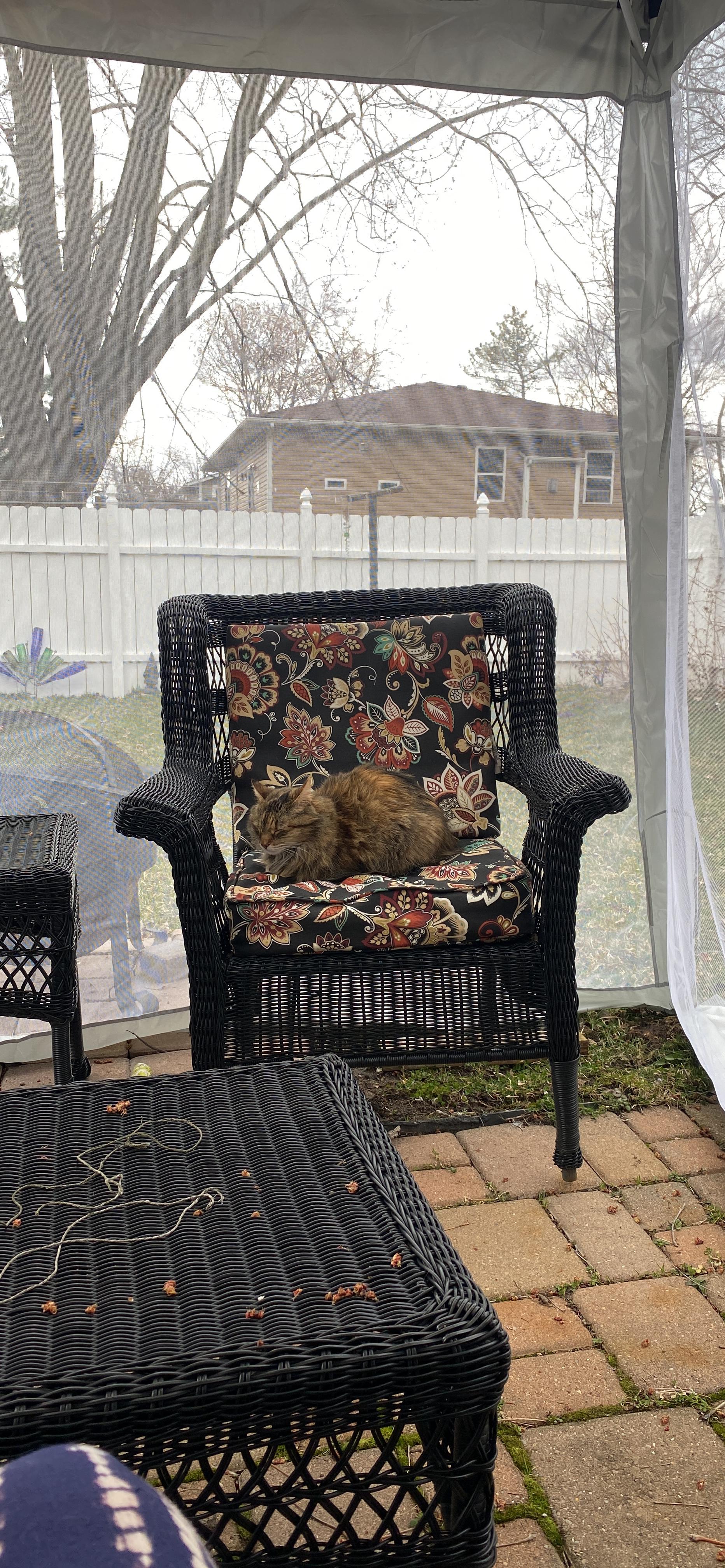 $11/mo - Finance Quest 10 Ft. X 10 Ft. Mesh Screen for Slant Leg ...