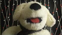 I Got Two Dogs: (Book and CD): Lithgow, John, Neubecker, Robert ...