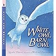 White Owl, Barn Owl: Read and Wonder: Davies, Nicola, Foreman, Michael ...