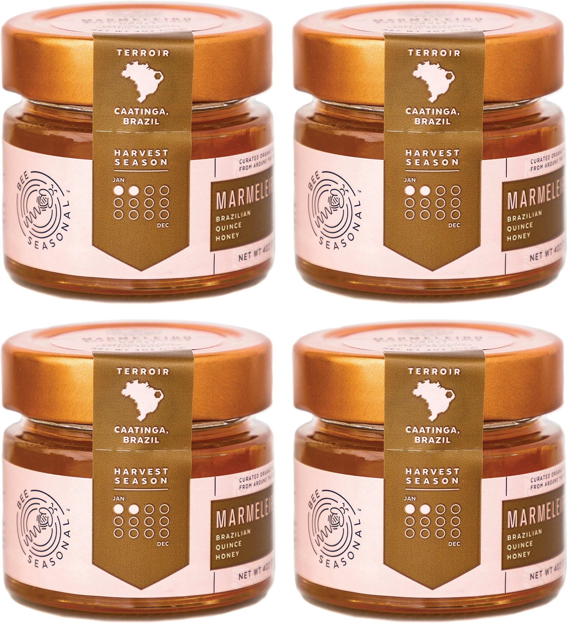 Amazon.com : Bee Seasonal Organic Raw Brazilian Acacia Blossom Honey ...