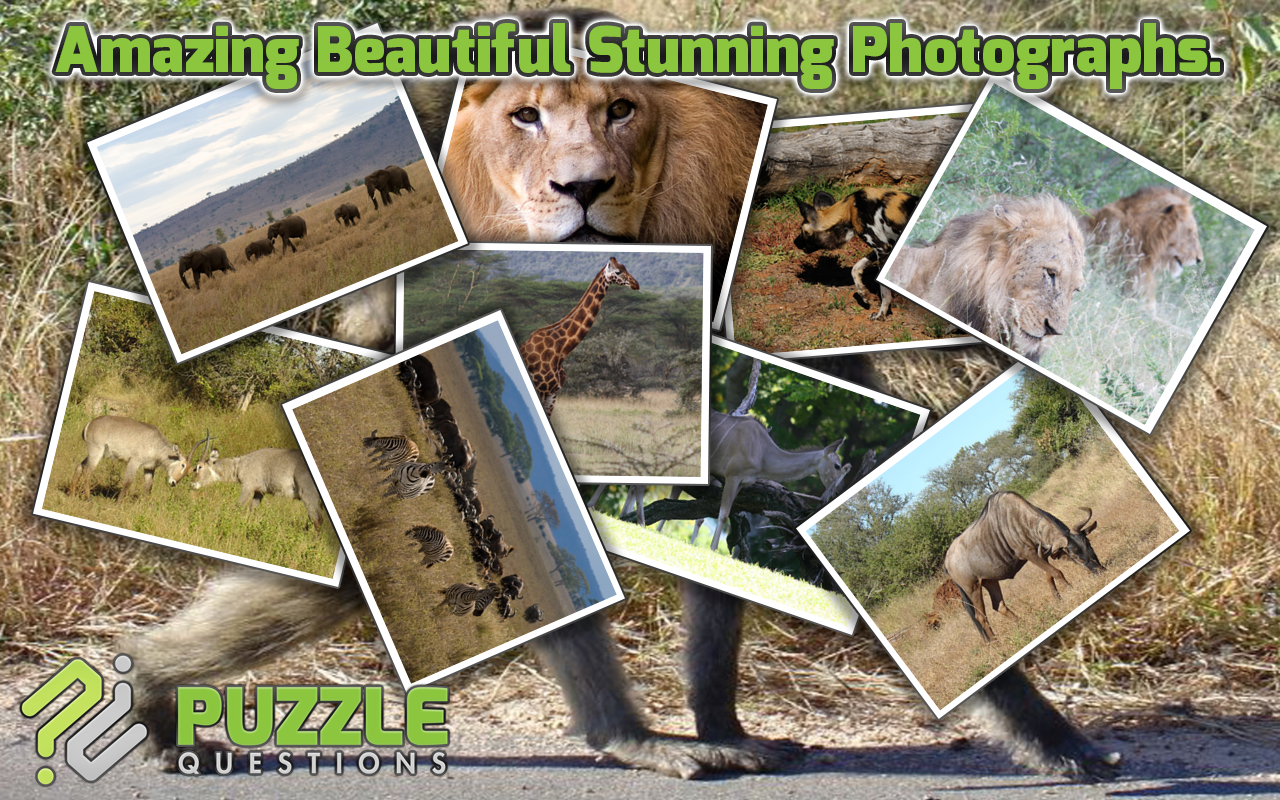 African Animals Safari Jigsaw Puzzle Games: Amazon.es: Appstore para ...