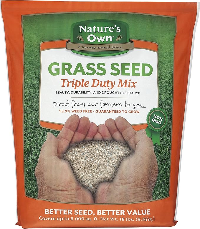 Amazon.com : Mountain View Seeds Natures Own Triple Duty Mix Grass Seed ...