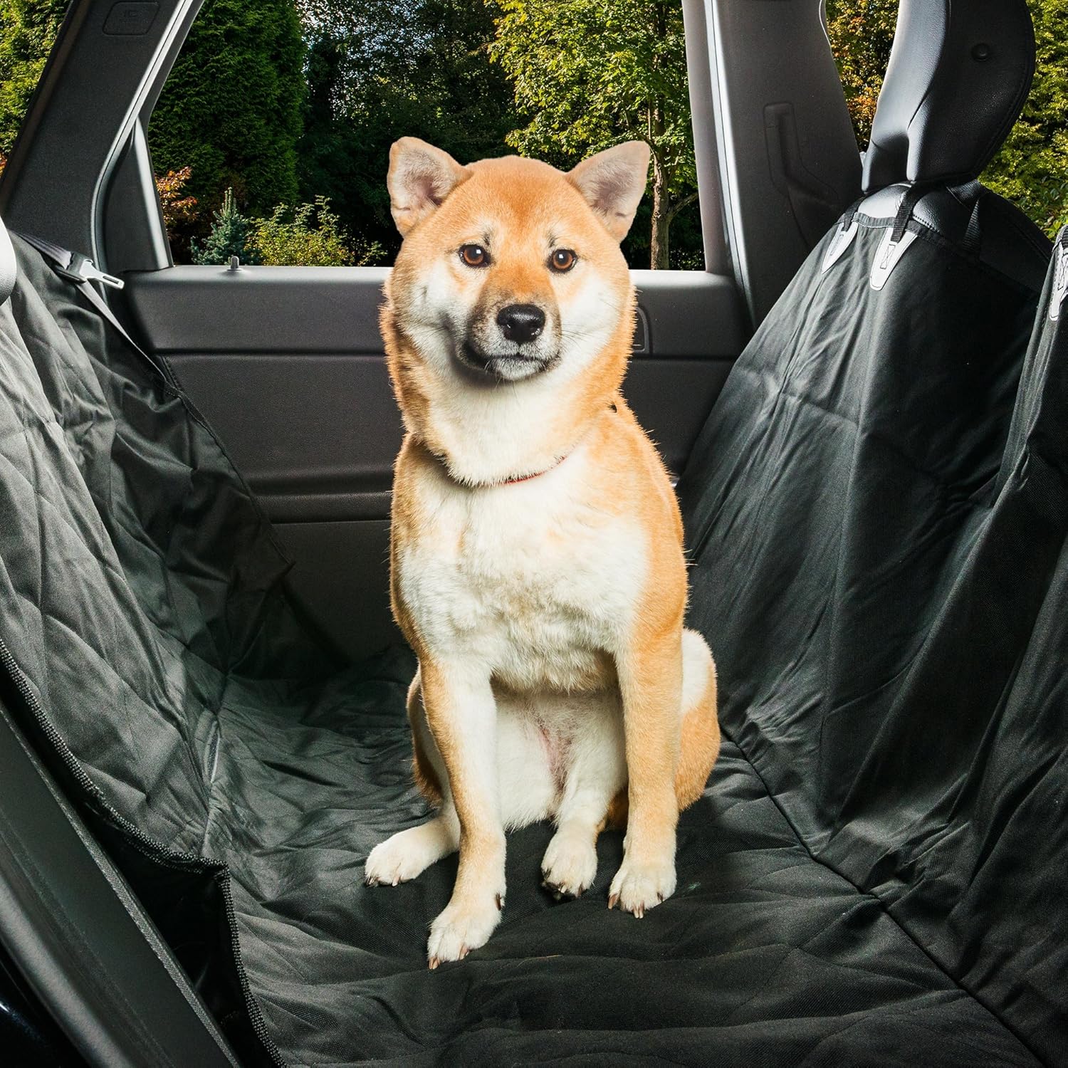 Bishopstone Pets Back Seat Cover and Hammock for Dogs Waterproof Car ...