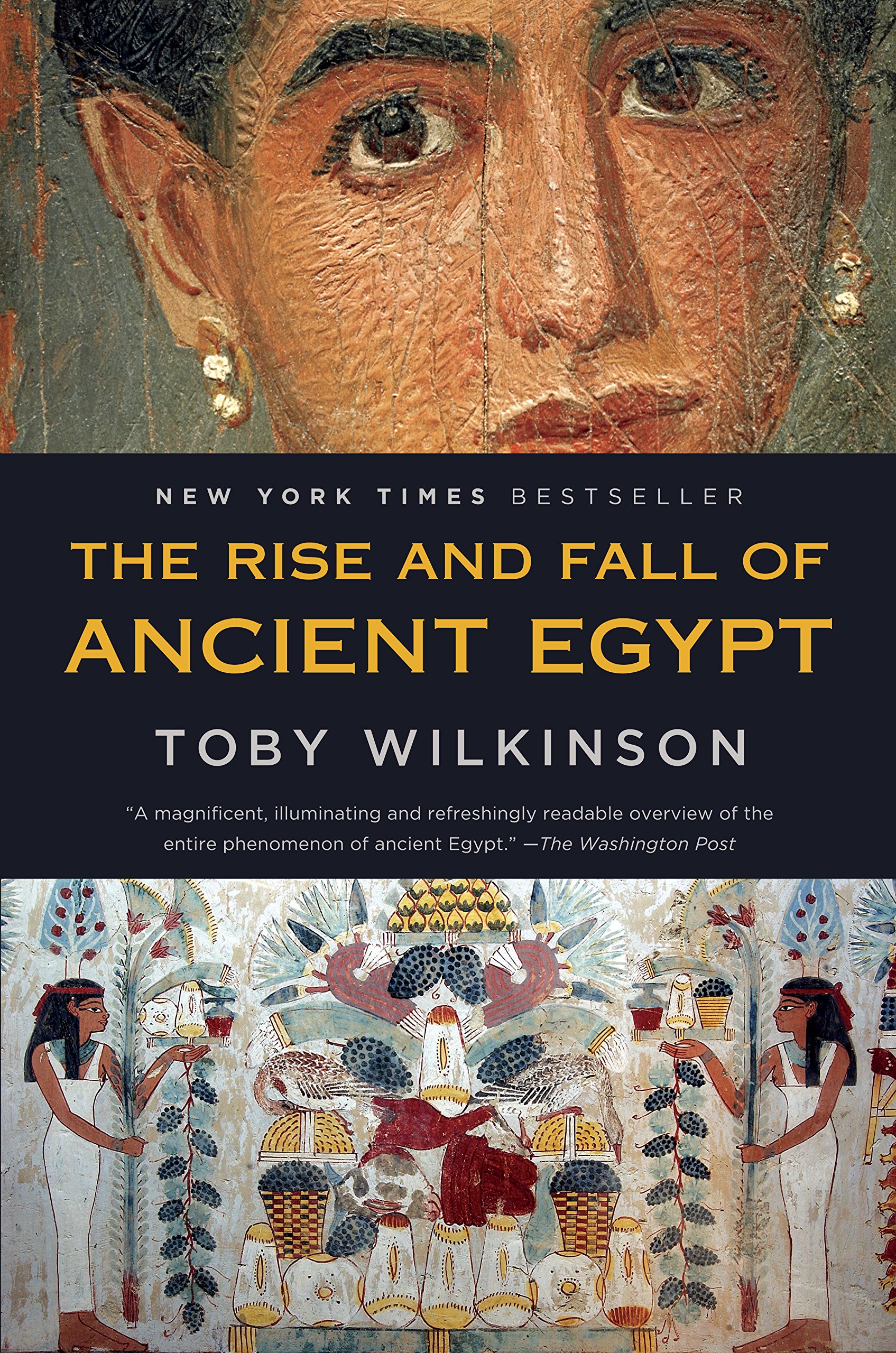 Mua The Rise and Fall of Ancient Egypt The Rise and Fall of Ancient ...