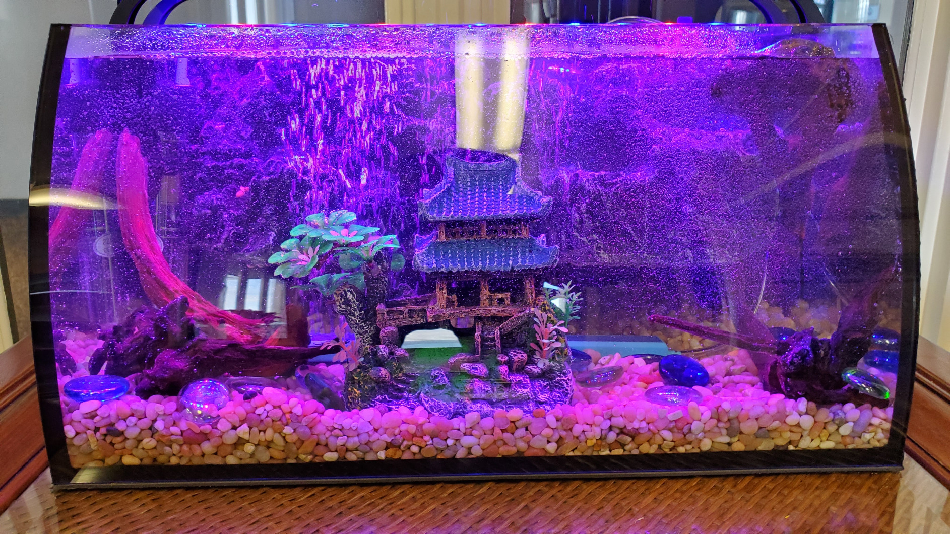 $23/mo - Finance hygger Horizon 8 Gallon LED Glass Aquarium Kit for ...