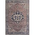 Amazon.com: Jaipur Living Soft 11x14 Large Area Rug, Boho, Blue/Dark ...