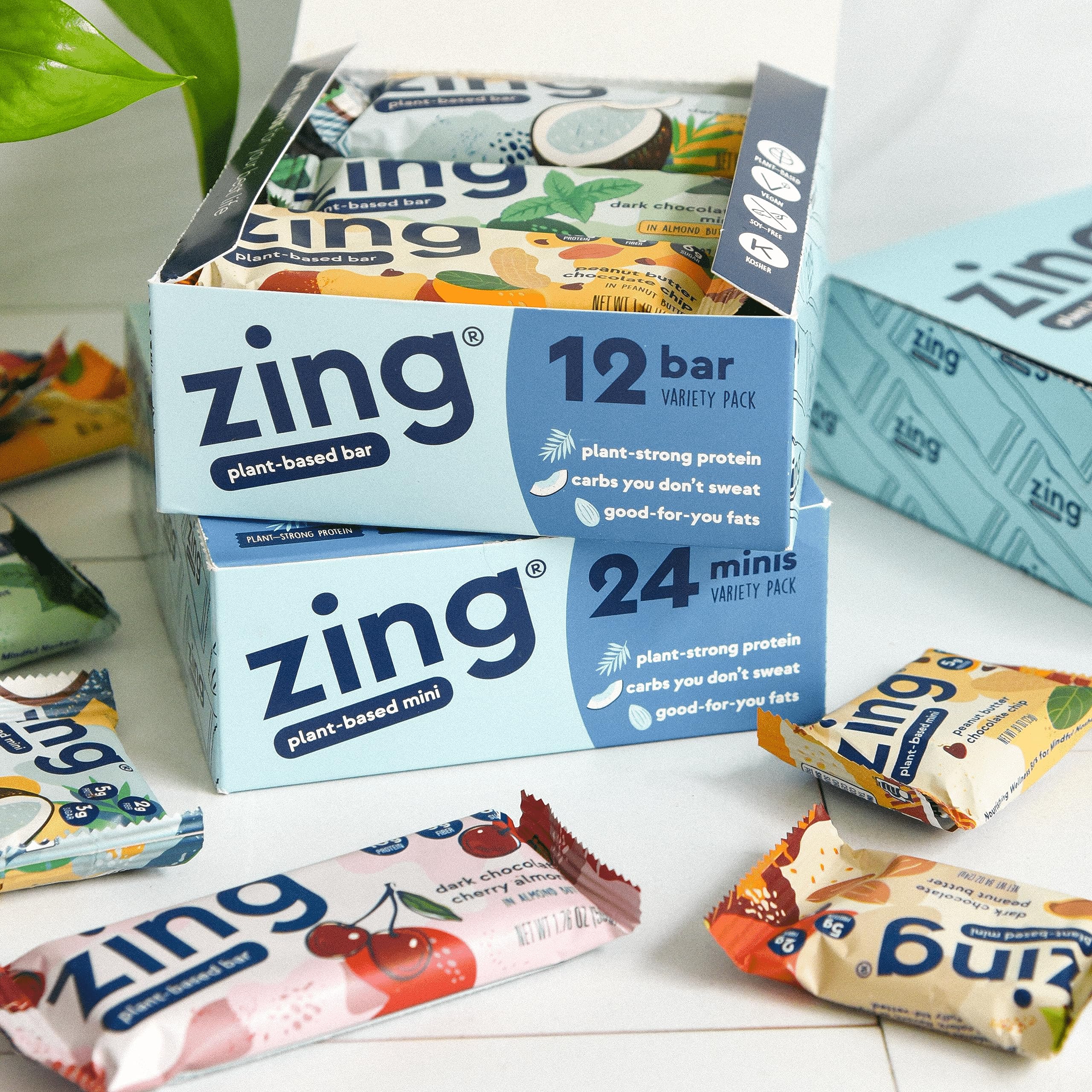 Mua Zing Variety Pack, Vegan Protein Bars, Gluten Free with High ...