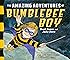 Ladybug Girl and Bumblebee Boy: Jacky Davis, David Soman: 9780803733398 ...