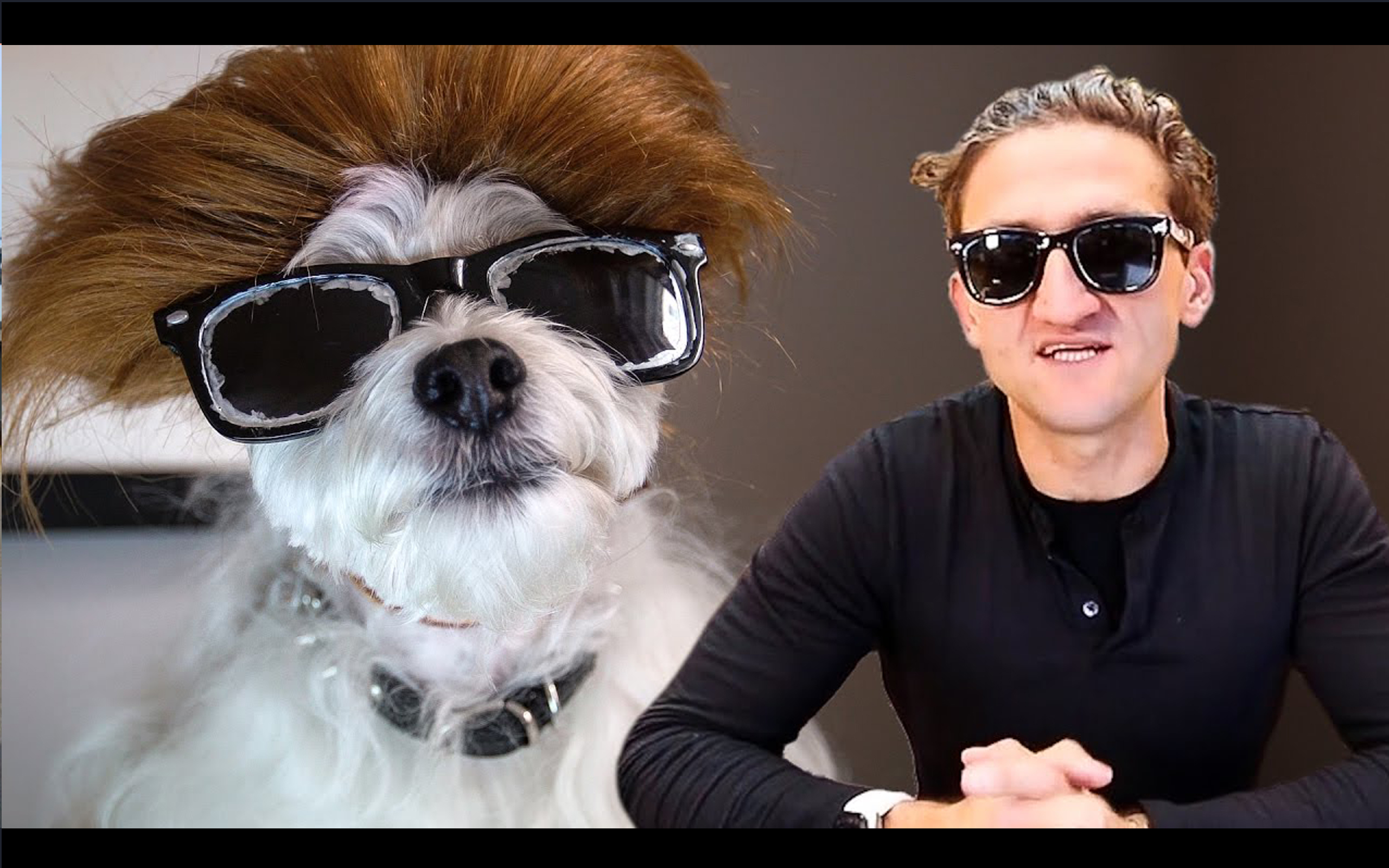 AFV Animals-Animal & Pet Video:Amazon.in:Appstore for Android