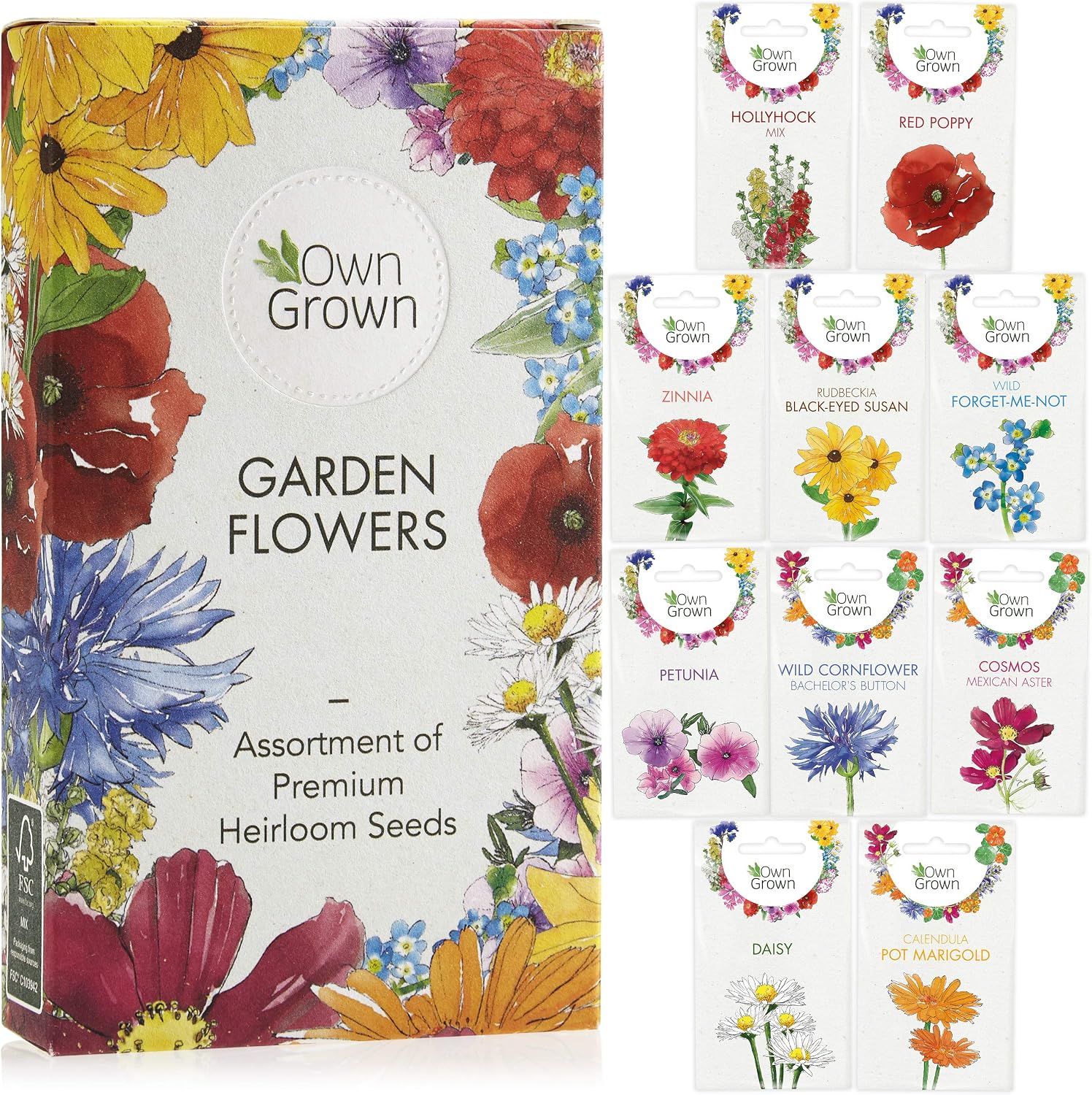 Grow Your Own Flowers: Premium Garden and Balcony Flower Seeds Set with ...