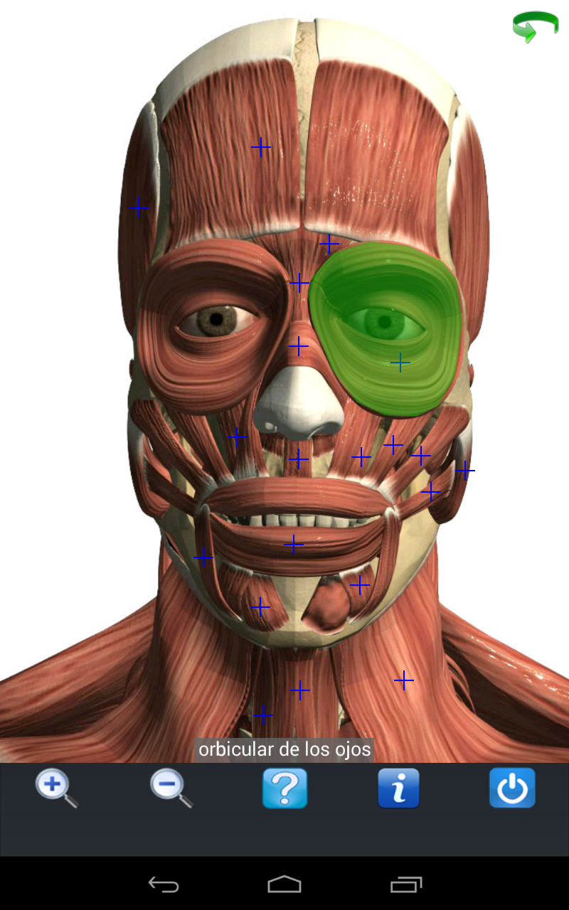Visual Anatomy Free: Amazon.es: Appstore para Android