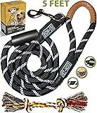Amazon.com : Buddy - Hands free dog leash connector - biking, jogging ...
